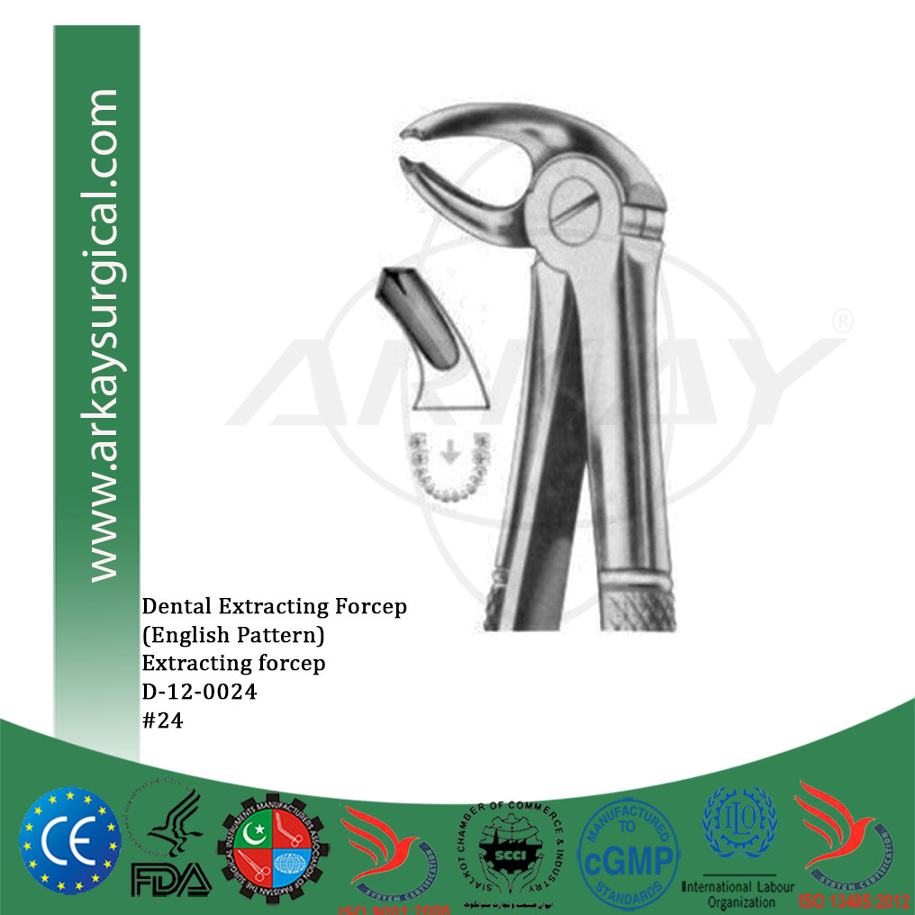 Dental extracting forceps english pattern #24 lower molars right root ...