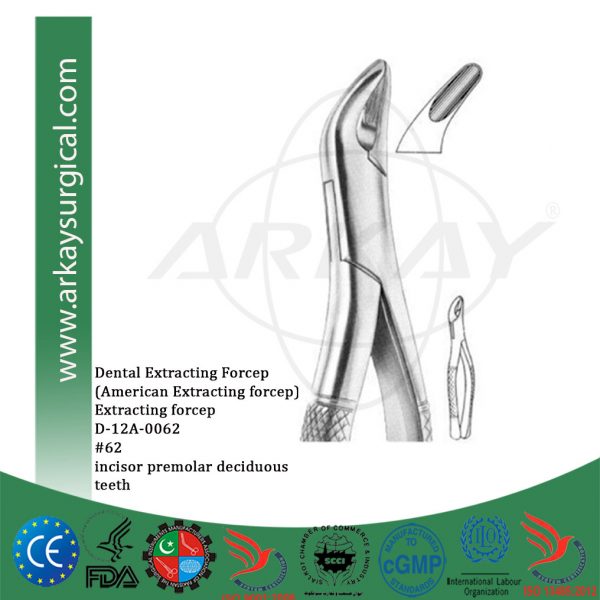 Dental extracting forcep american pattern #62 incisor, premolar ...